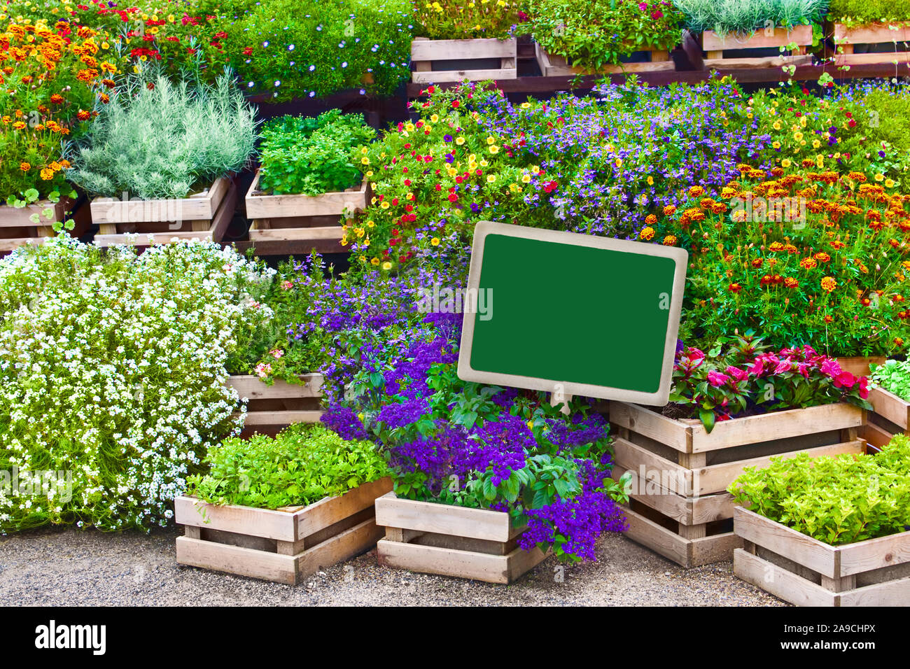 Flowers for sale outdoor and sign Stock Photo - Alamy