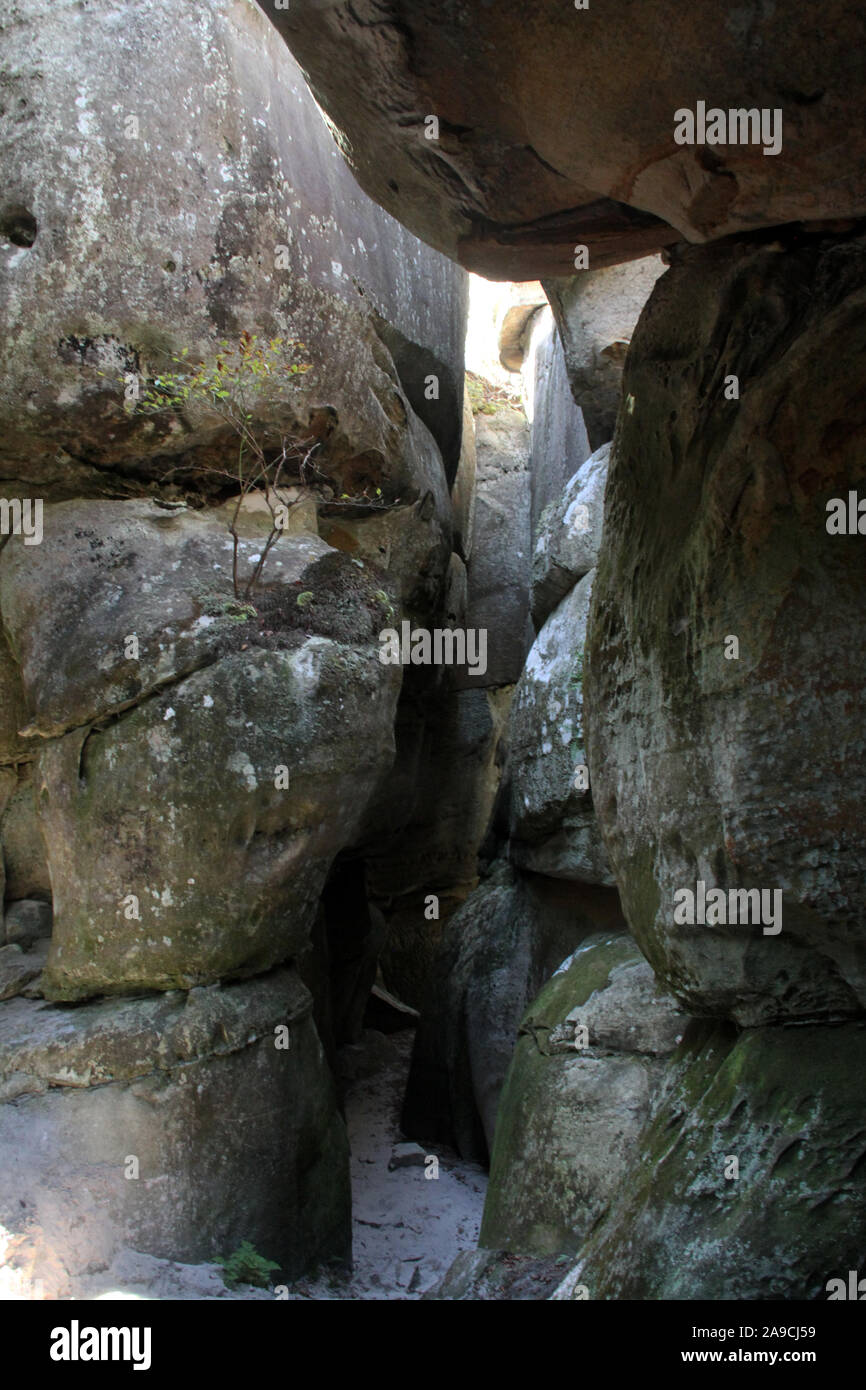 The Channels Natural Area Preserve in Virginia, USA Stock Photo - Alamy