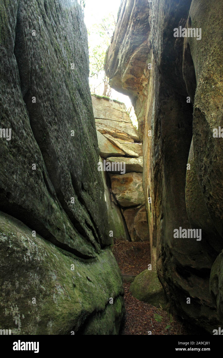 The Channels Natural Area Preserve in Virginia, USA Stock Photo - Alamy