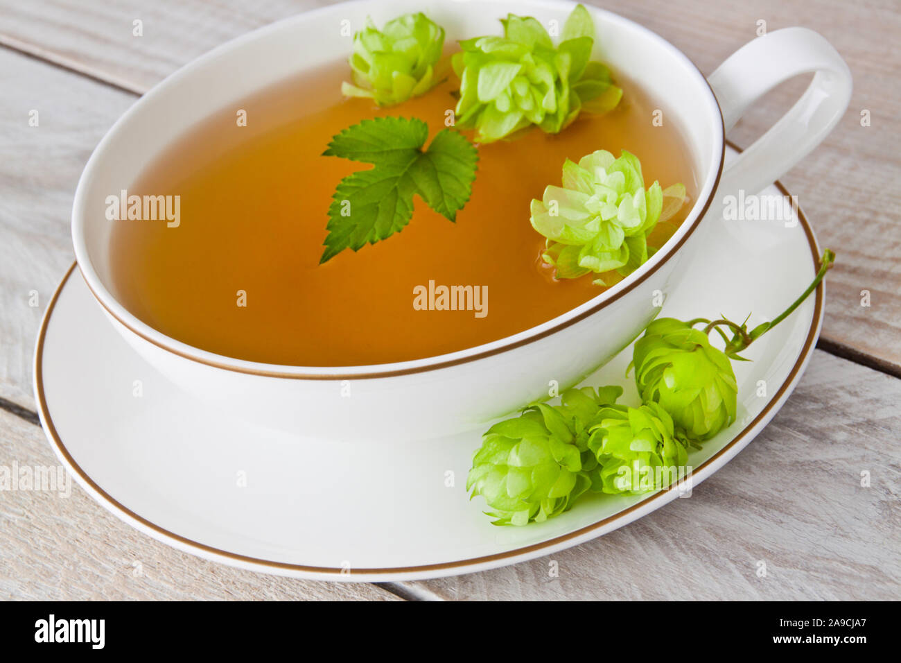 Hops tea hi-res stock photography and images - Alamy