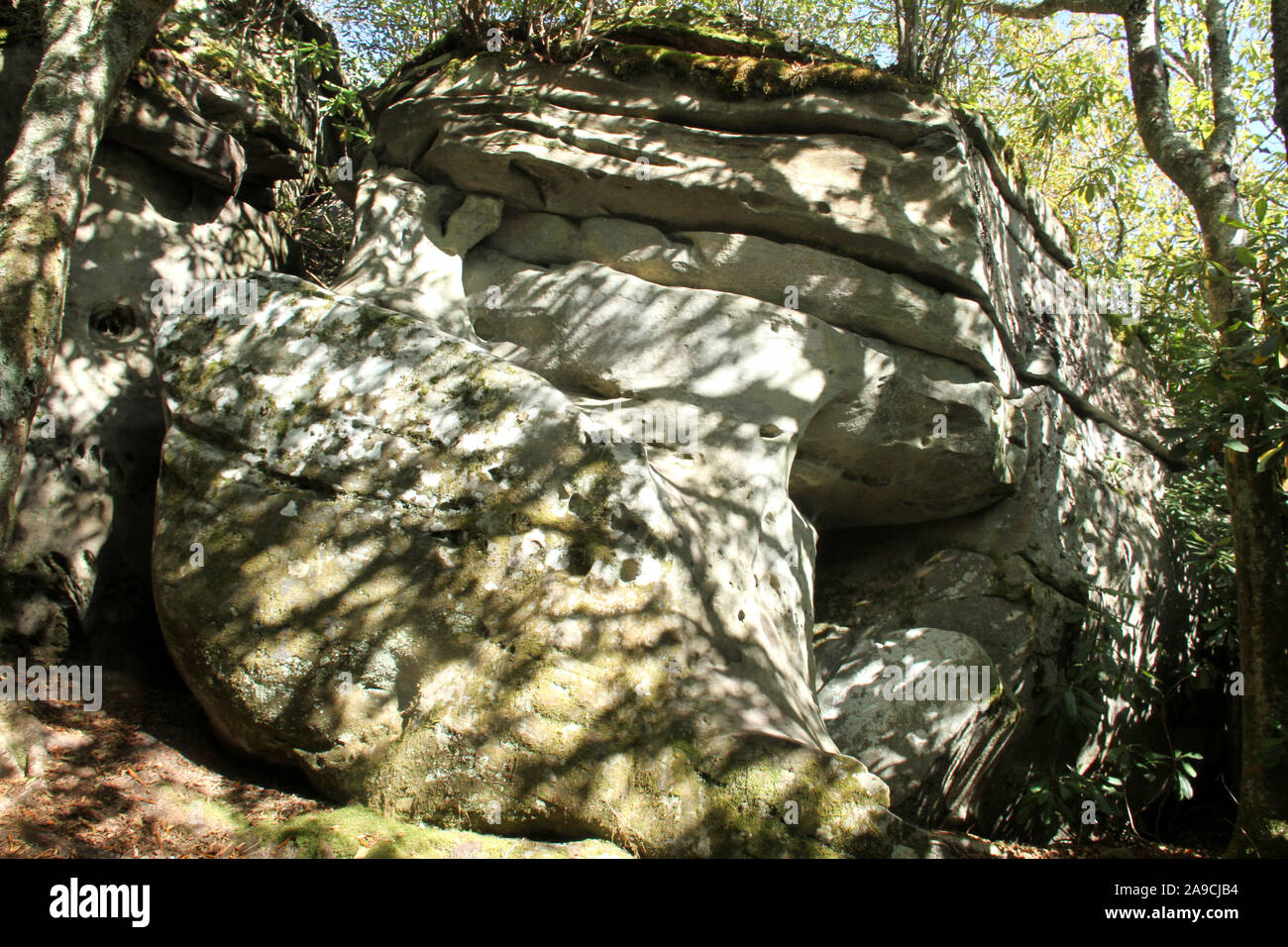 The Channels Natural Area Preserve in Virginia, USA Stock Photo - Alamy