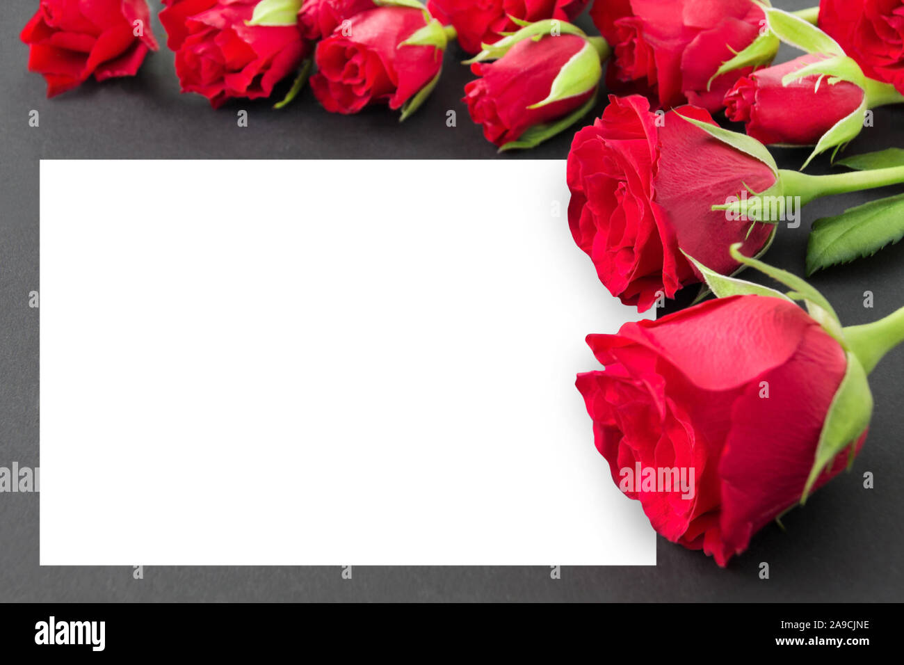Red roses background Stock Photo - Alamy
