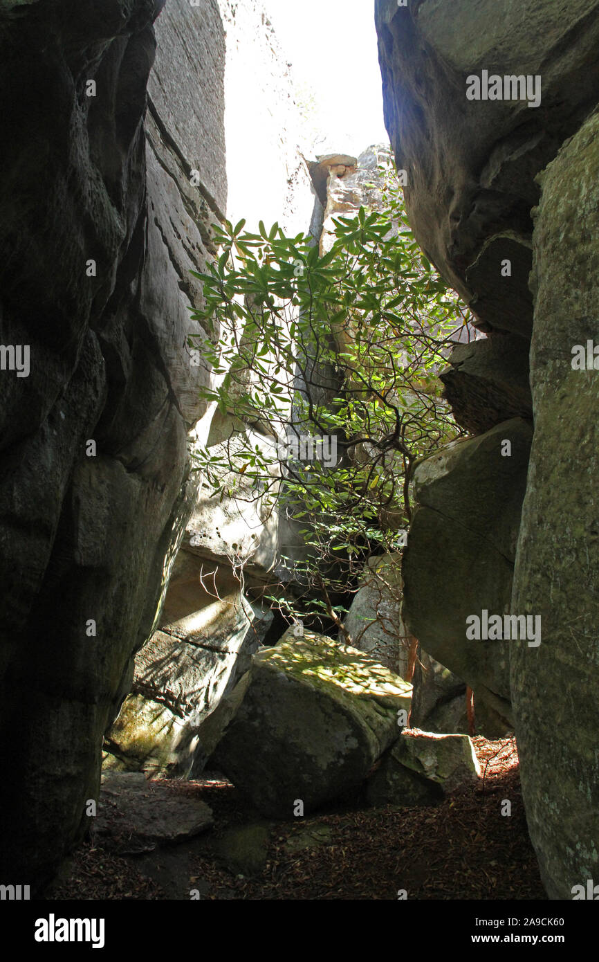 The Channels Natural Area Preserve in Virginia, USA Stock Photo - Alamy