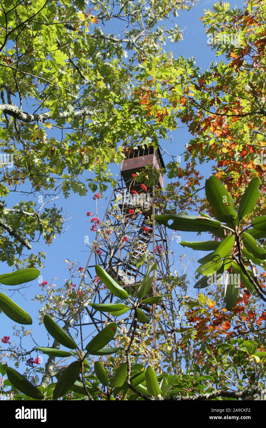 The old fire tower at the Channels Natural Area Preserve in VA, USA ...