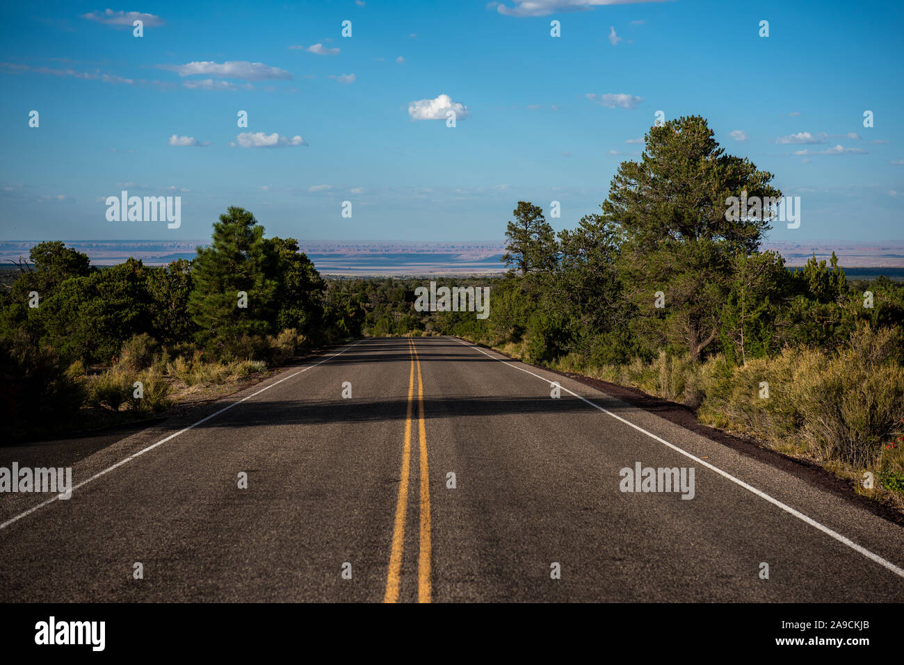 Northern Arizona Landscape and Nature Stock Photo - Alamy