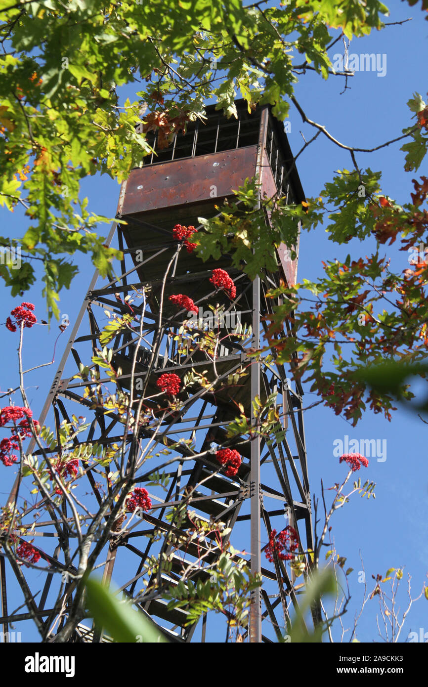 The old fire tower at the Channels Natural Area Preserve in VA, USA ...