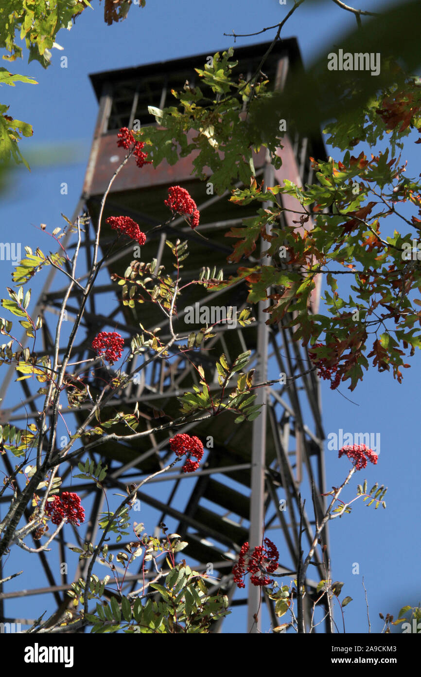 Fire protection excursion hi-res stock photography and images - Alamy