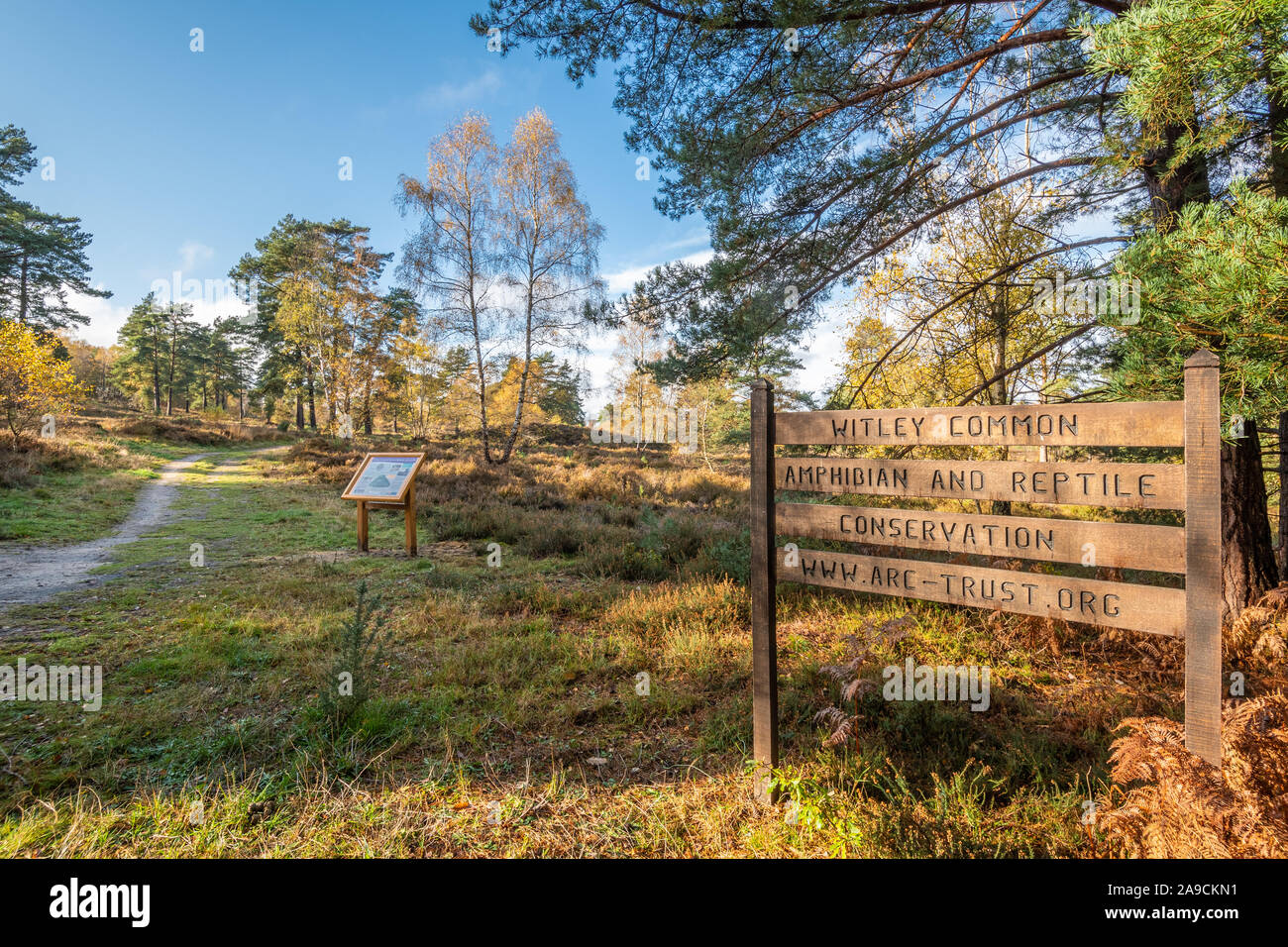Witley heath hi-res stock photography and images - Alamy