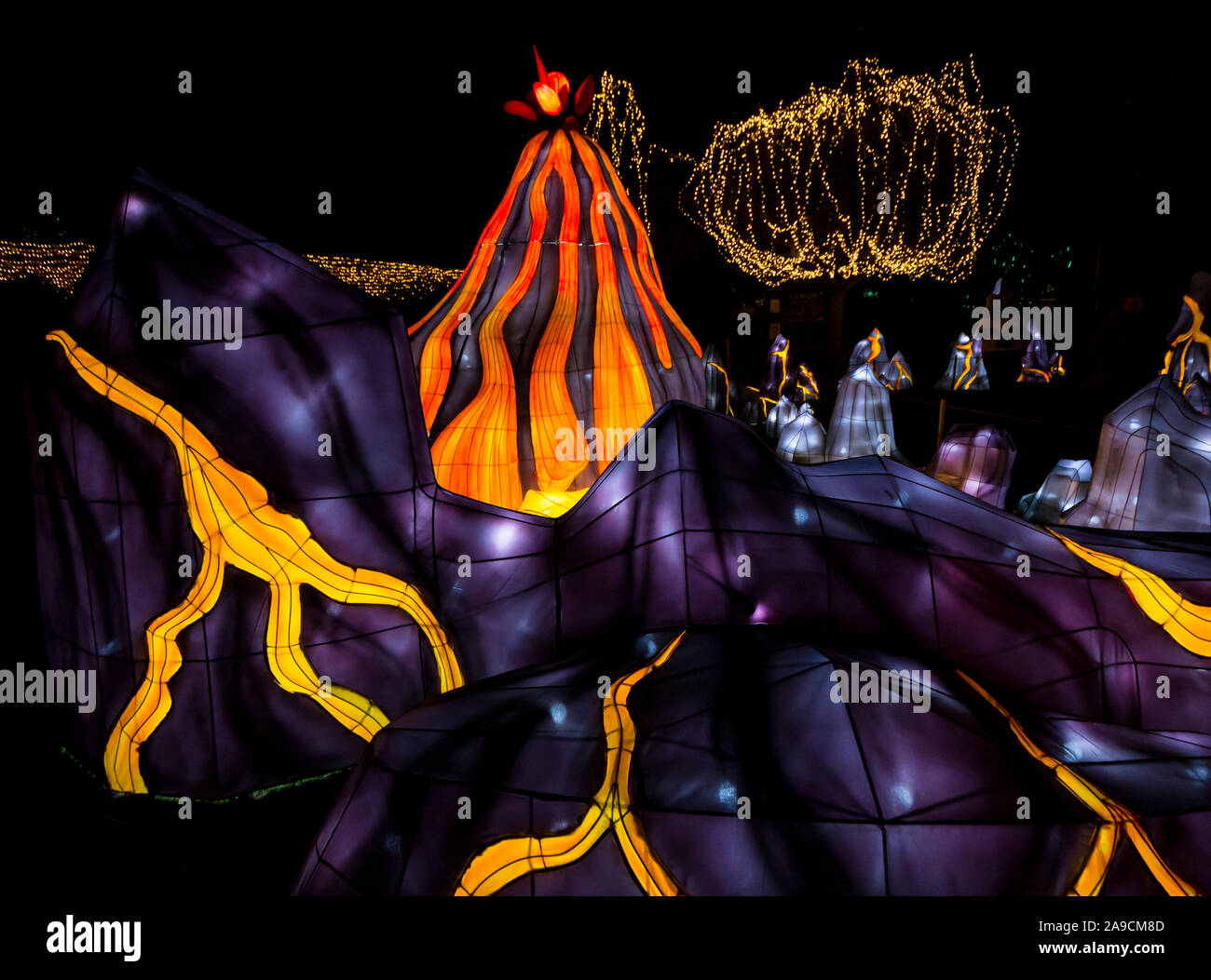 Edinburgh Zoo, Scotland, United Kingdom, 14 November 2019. Giant ...