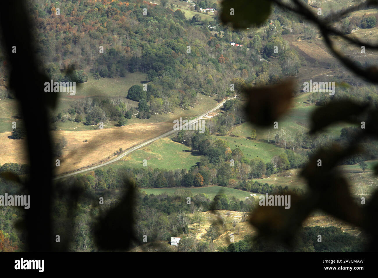 Landscape around the Channels Natural Area Preserve, VA, USA Stock ...