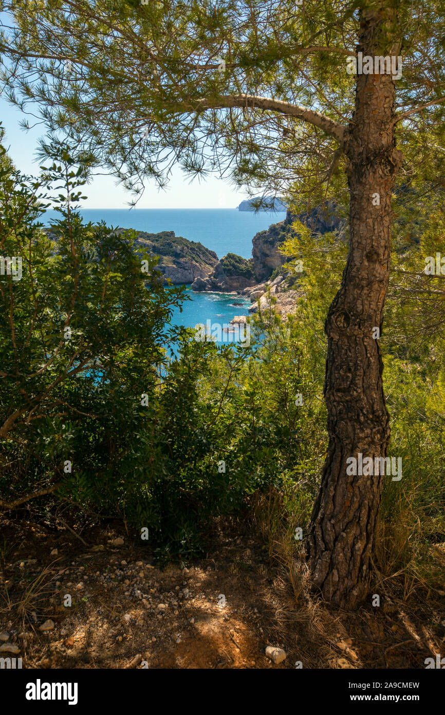 A view through the trees of the stunning Ambolo Beach in Javea, Spain ...