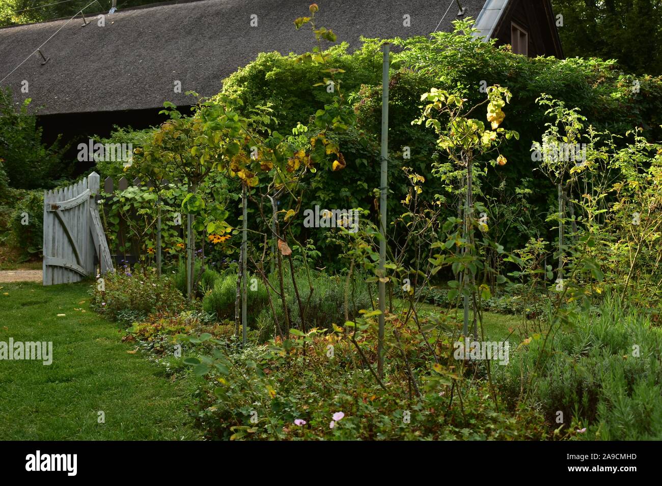 White pathway hi-res stock photography and images - Alamy
