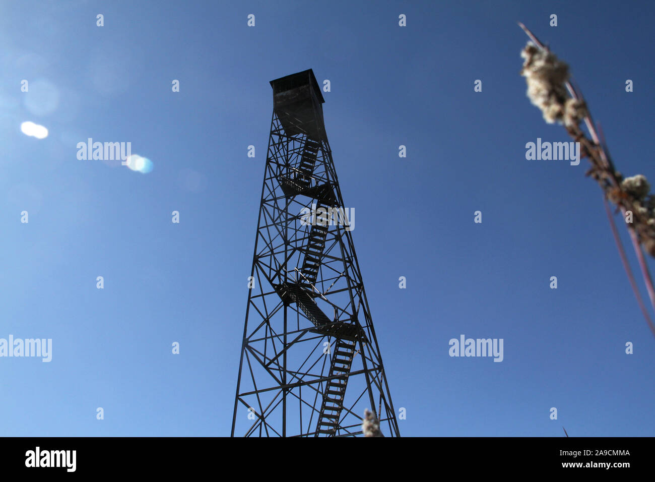 The old fire tower at the Channels Natural Area Preserve in VA, USA ...