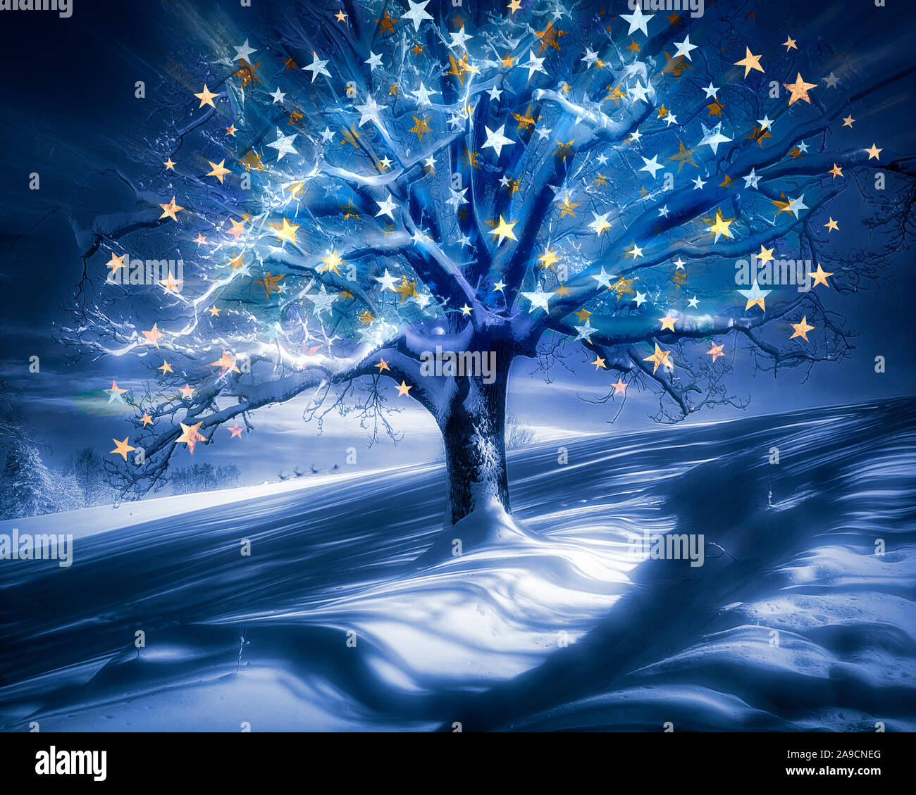 CHRISTMAS ILLUSTRATION: The Tree of Magic Stock Photo - Alamy
