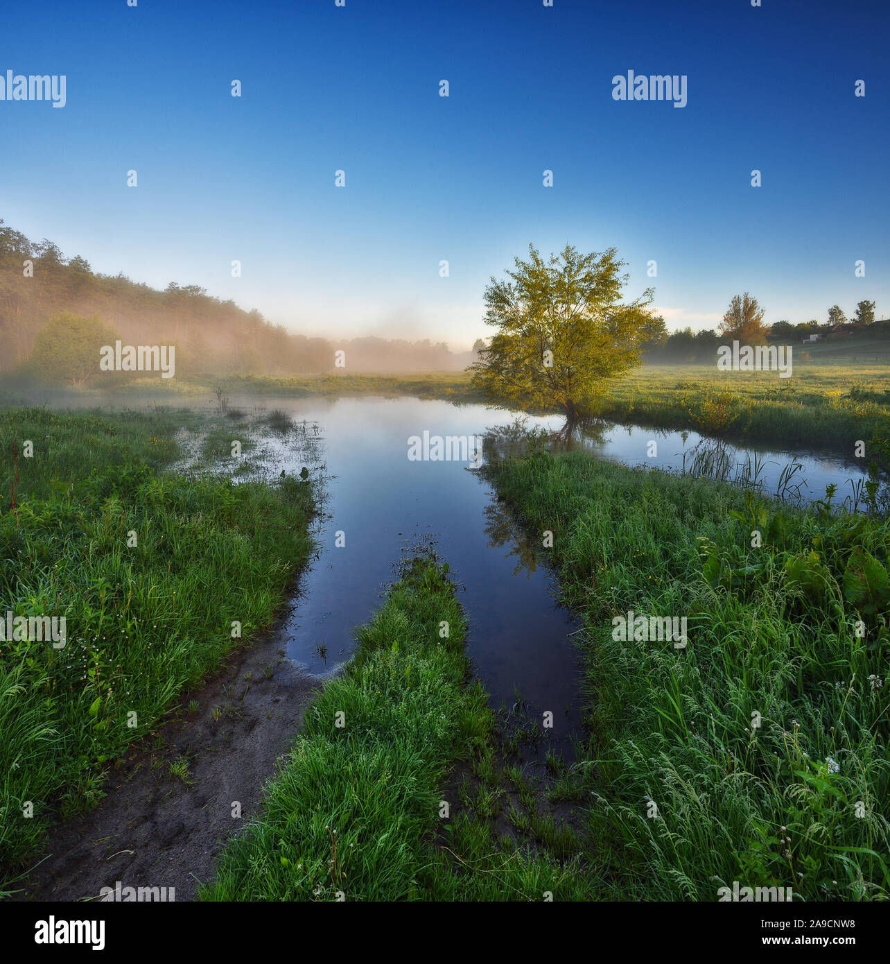 spring river. picturesque spring dawn Stock Photo - Alamy
