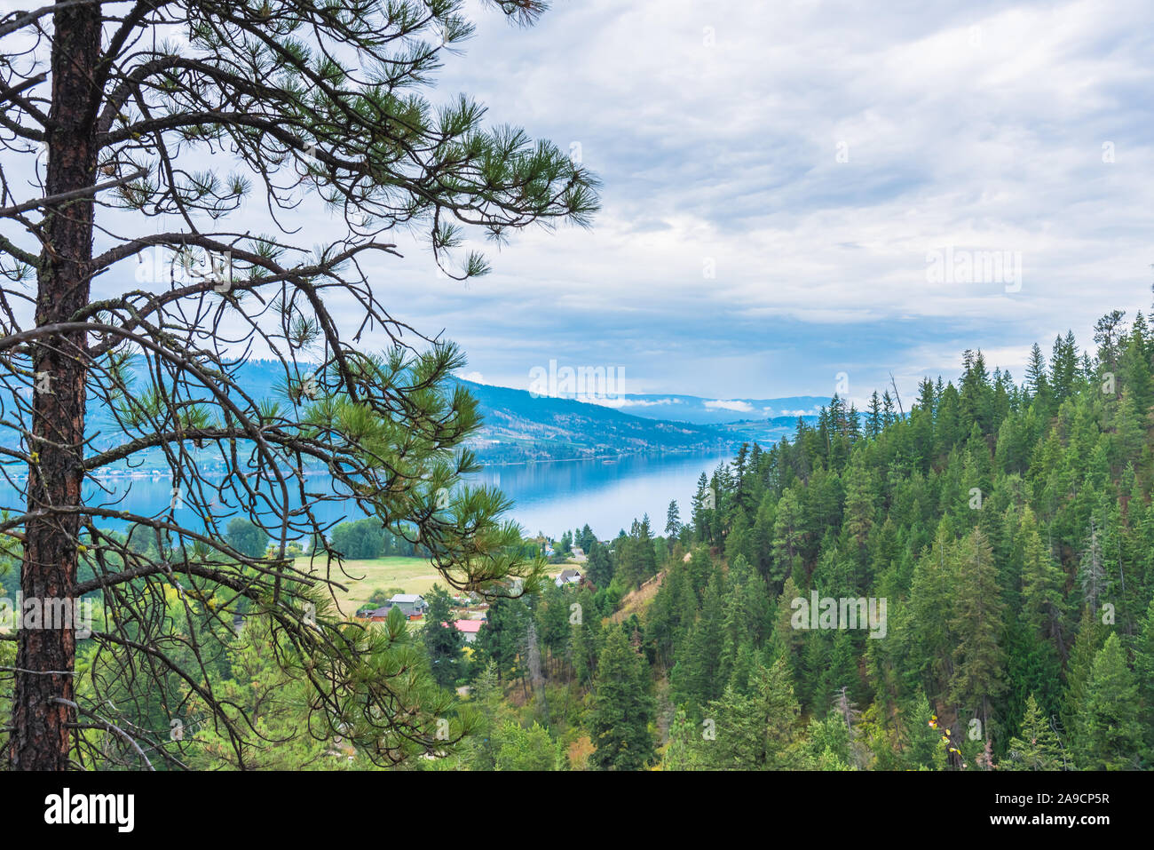 View of Okanagan Lake and forest from viewing platform above Fintry ...