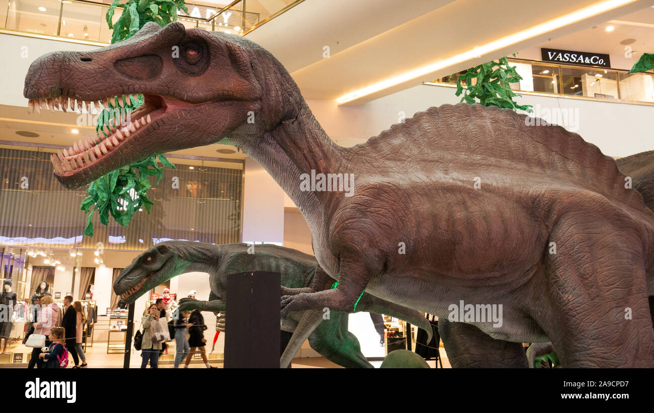 Dinosaur skeleton head close up photo in museum Stock Photo - Alamy