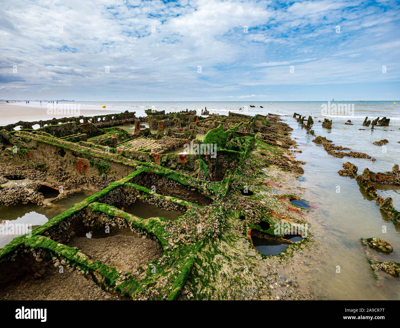 Seashell and algae covered shipwreck leftovers from a World War ship at ...