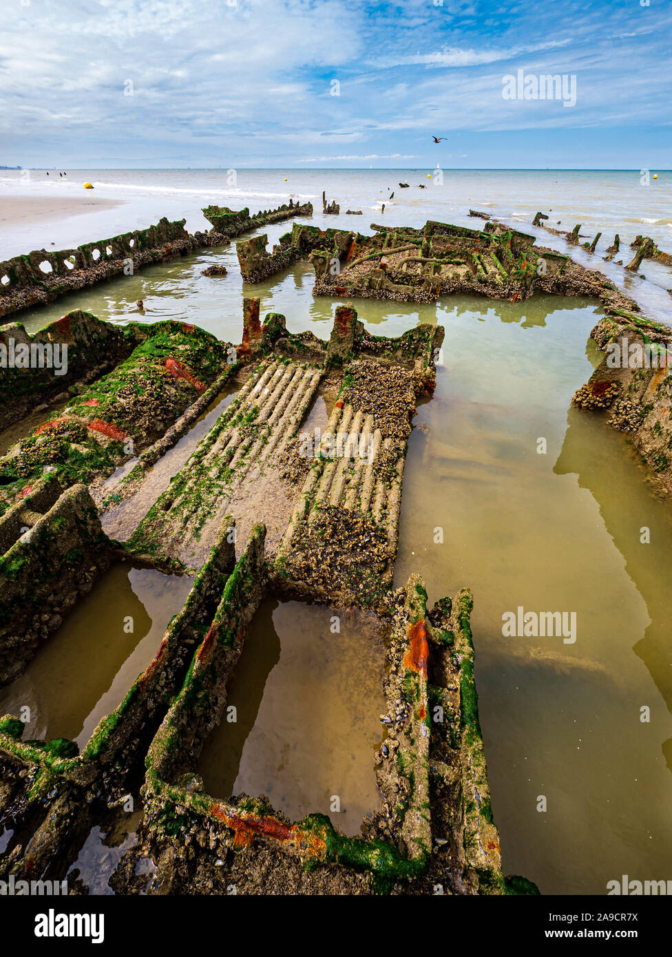 View across a Seashell and algae covered shipwreck leftovers from a ...