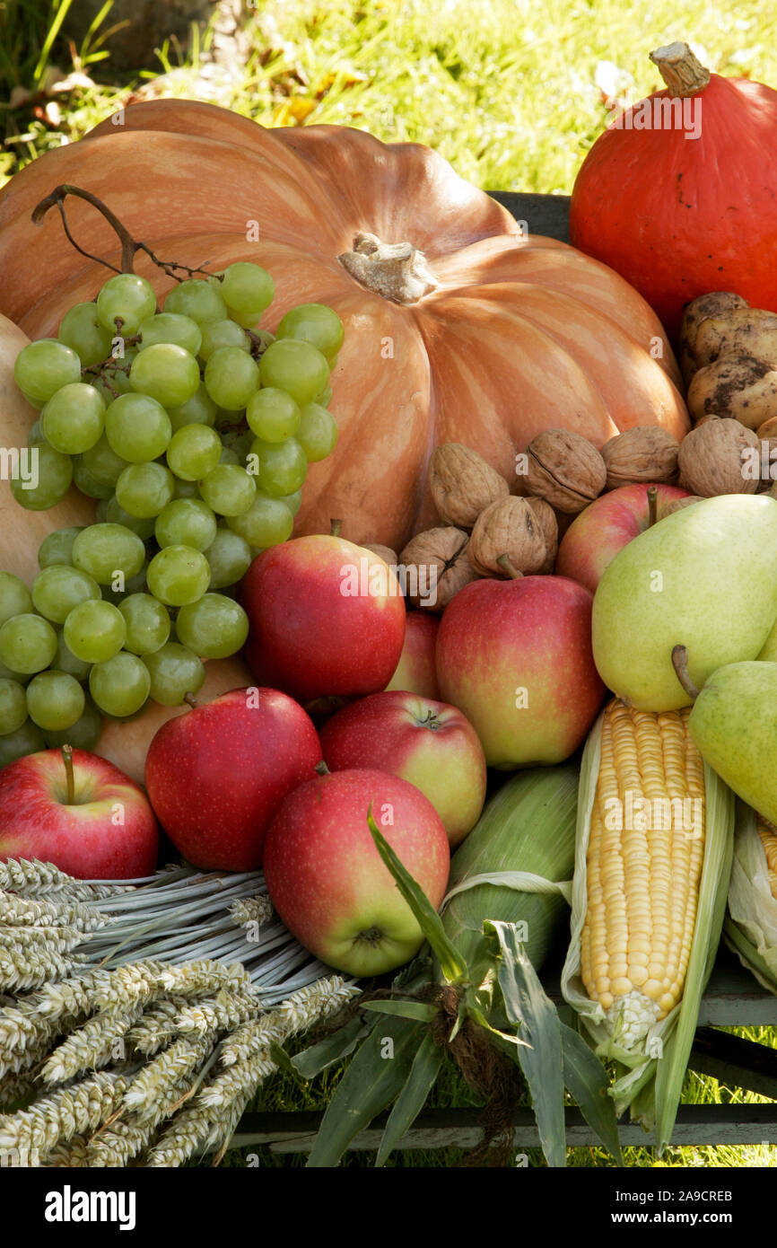 Nutrition, Health, Healthy Food, Fruits and Vegetables Stock Photo - Alamy