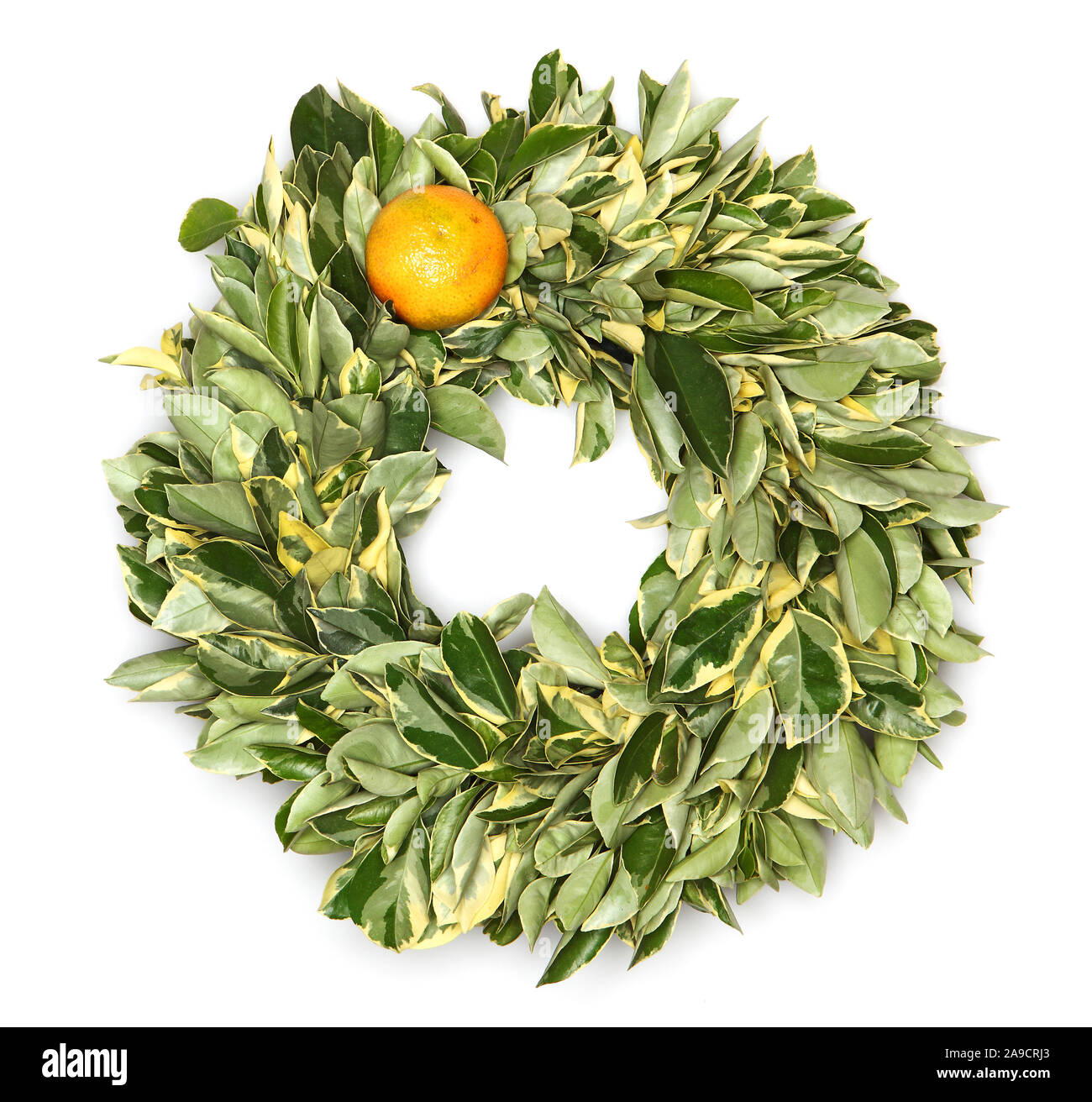 Foliage adorned Cut Out Stock Images & Pictures - Alamy