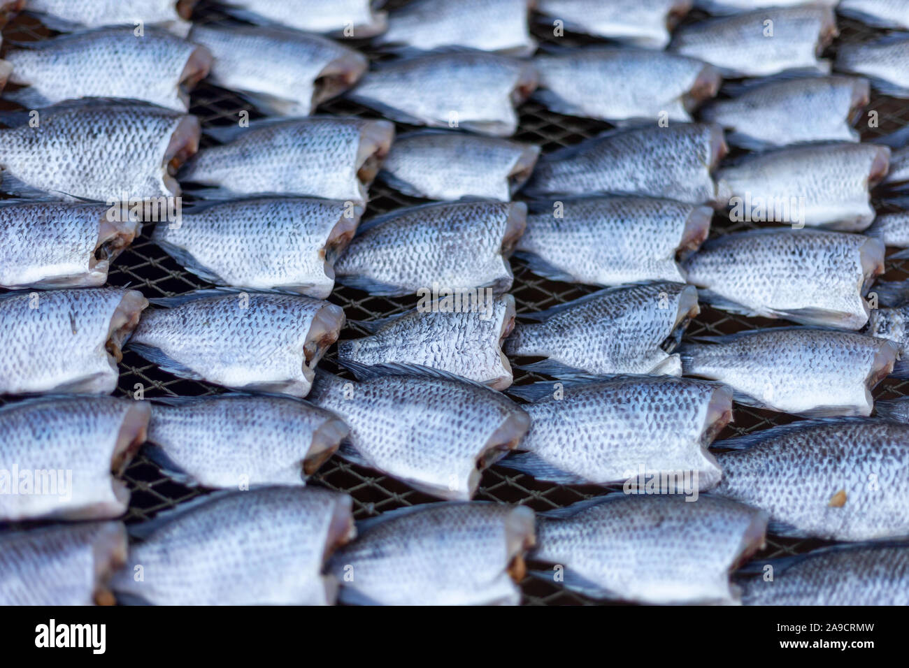 Fish drying in the sun in Thailand. Typical for South East Asia, drying ...