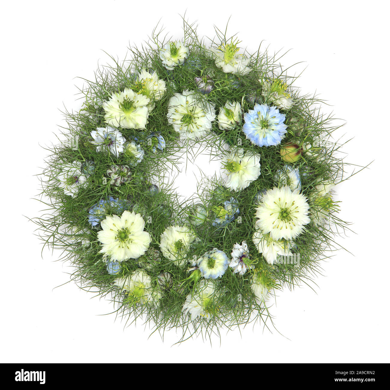 Photo of mist Cut Out Stock Images & Pictures - Alamy