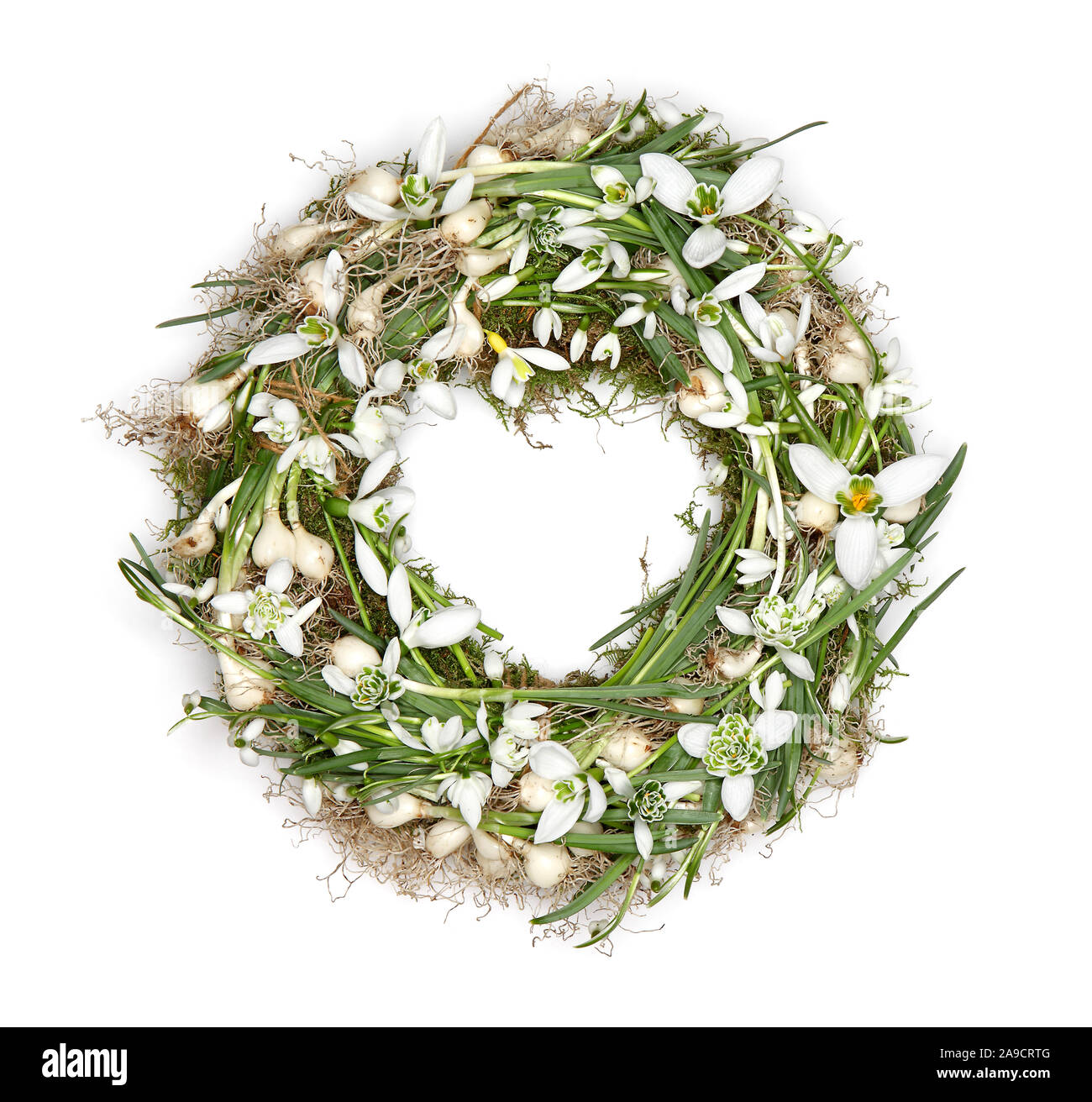Wreath of snowdrops, wreath of galanthus Stock Photo - Alamy