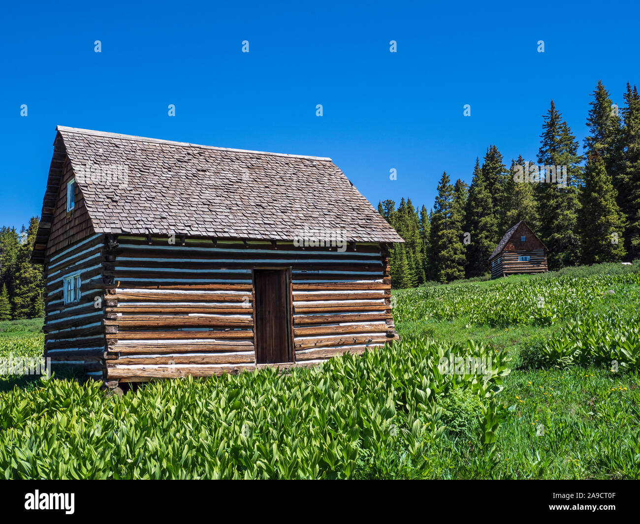 Raber cow camp hi-res stock photography and images - Alamy