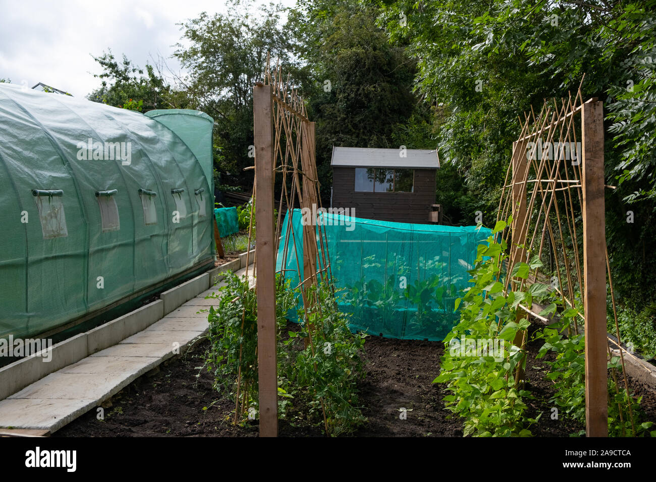Polytunnel allotment hi-res stock photography and images - Alamy