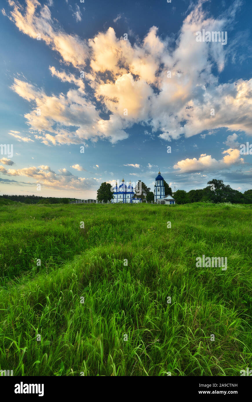 Beautiful Spring Morning