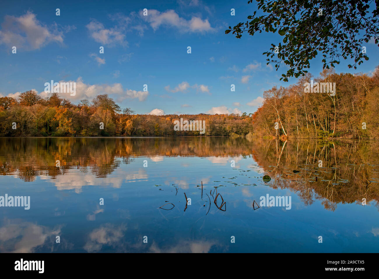Sussex uk stock hi-res stock photography and images - Alamy