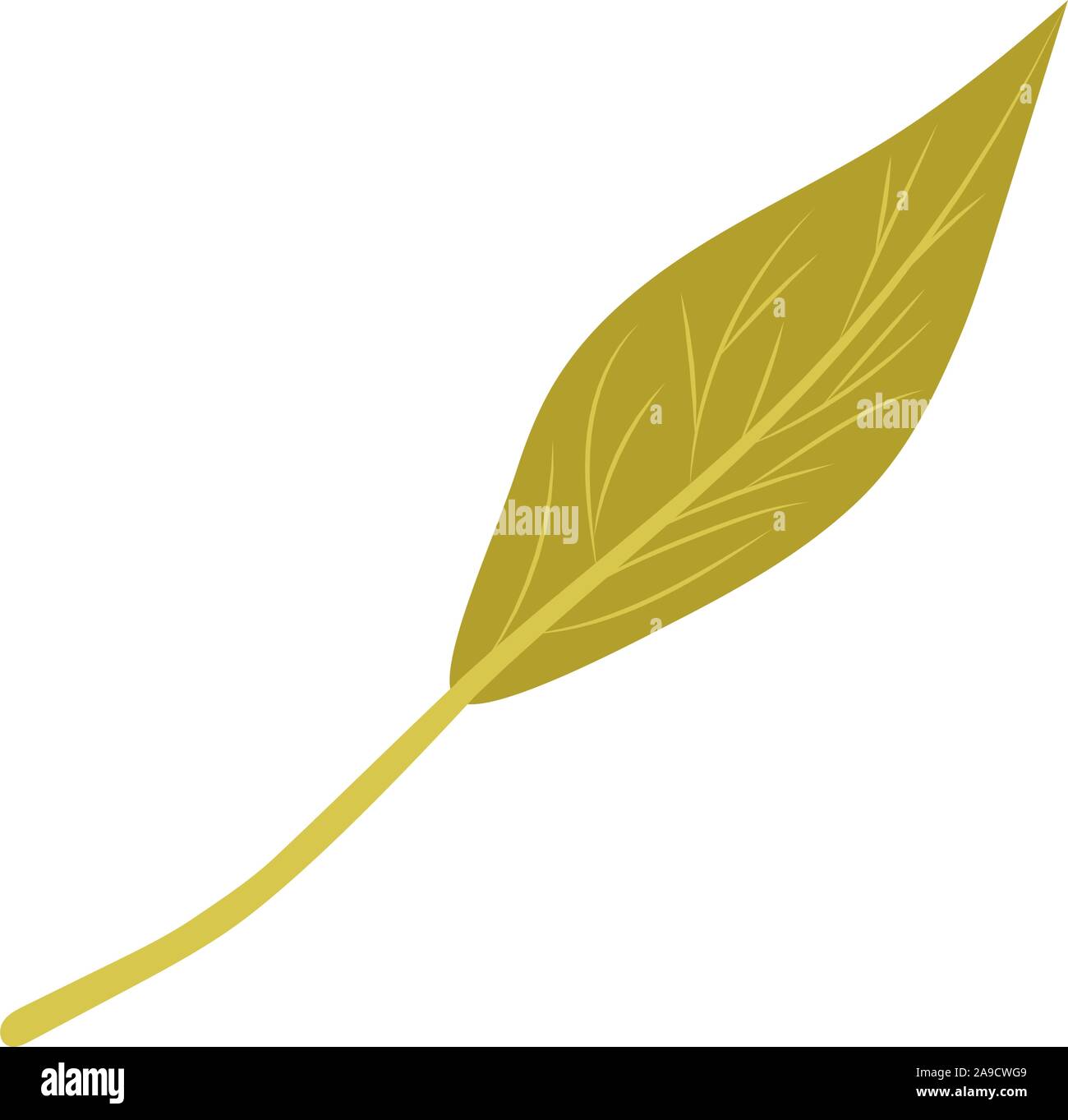 Isolated autumn leaf vector design Stock Vector Image & Art - Alamy