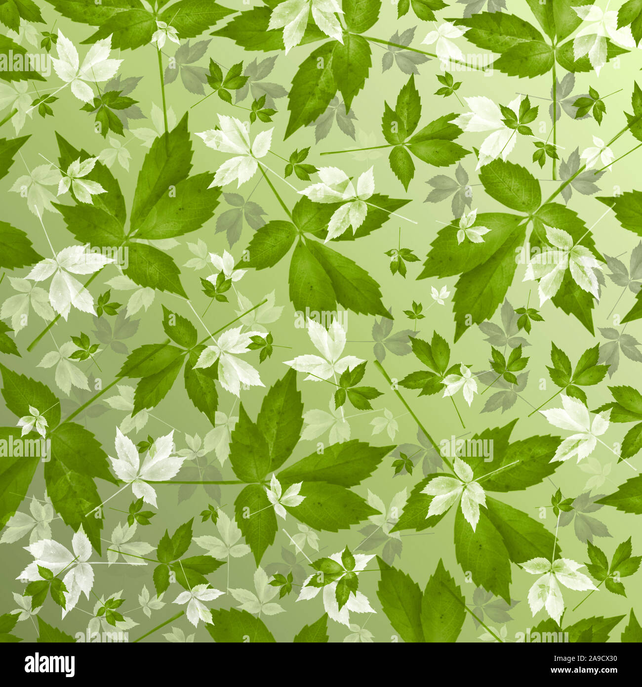 Nature - Leaves - Background Stock Photo - Alamy