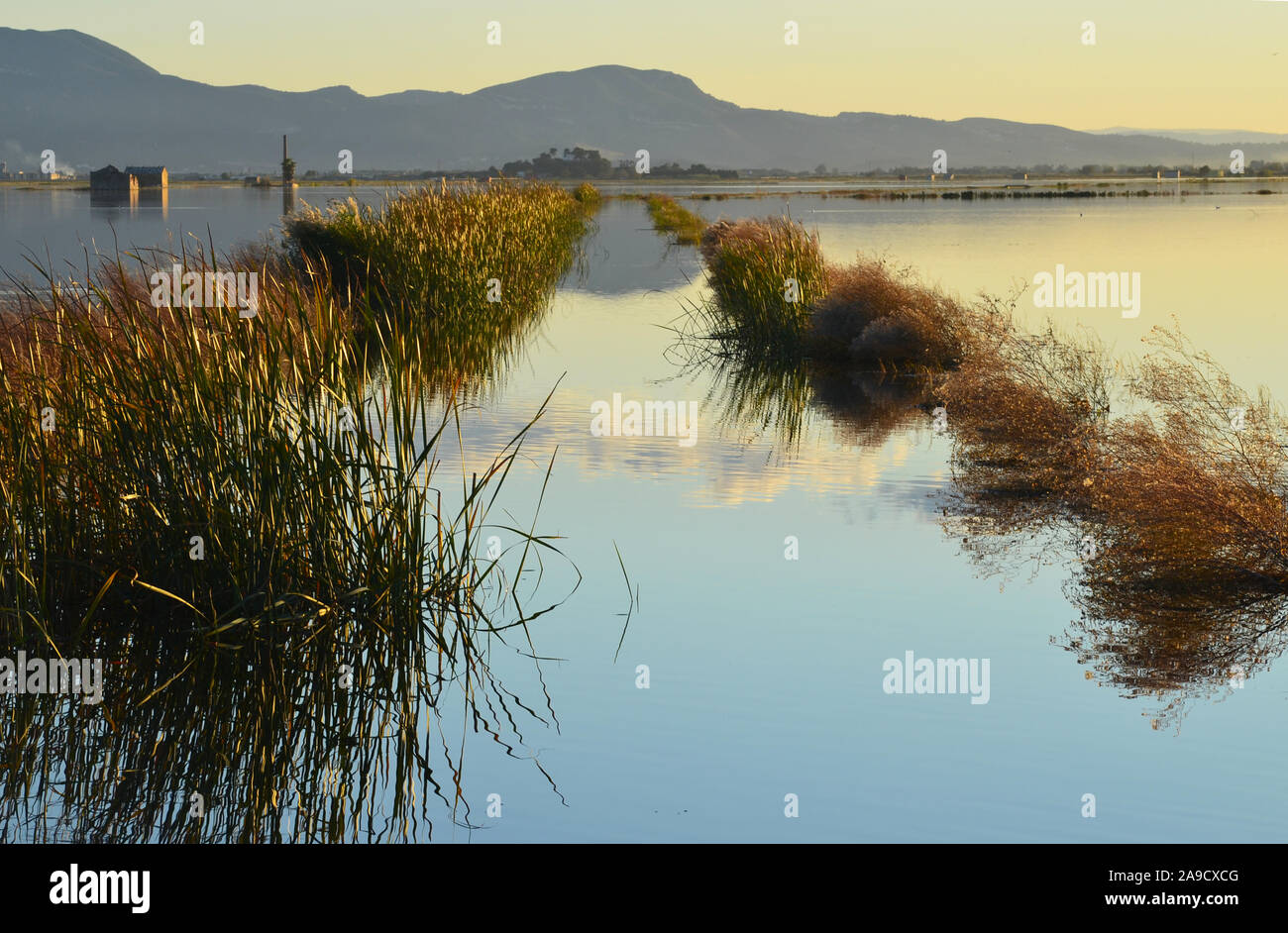 The Albufera natural park, a wetland of international importance in ...
