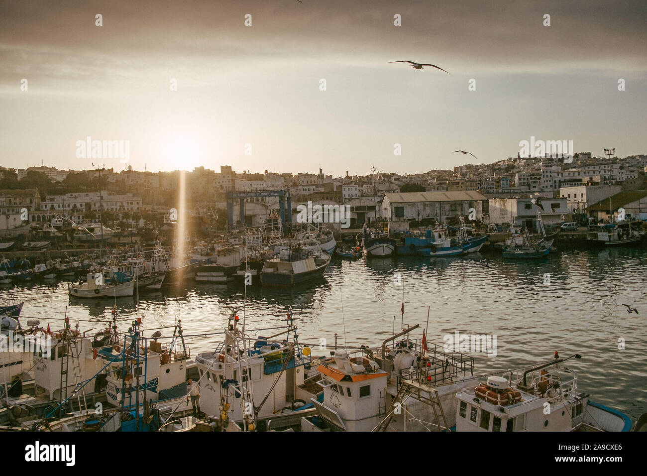 View over the harbor of Tangier, Morocco Stock Photo - Alamy