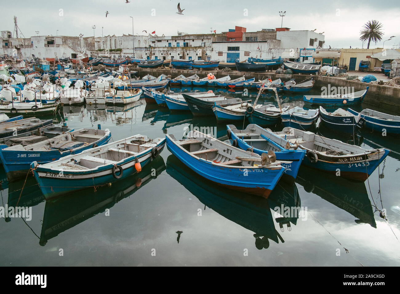 Fishing boats in the harbor of Tangier, Morocco Stock Photo - Alamy