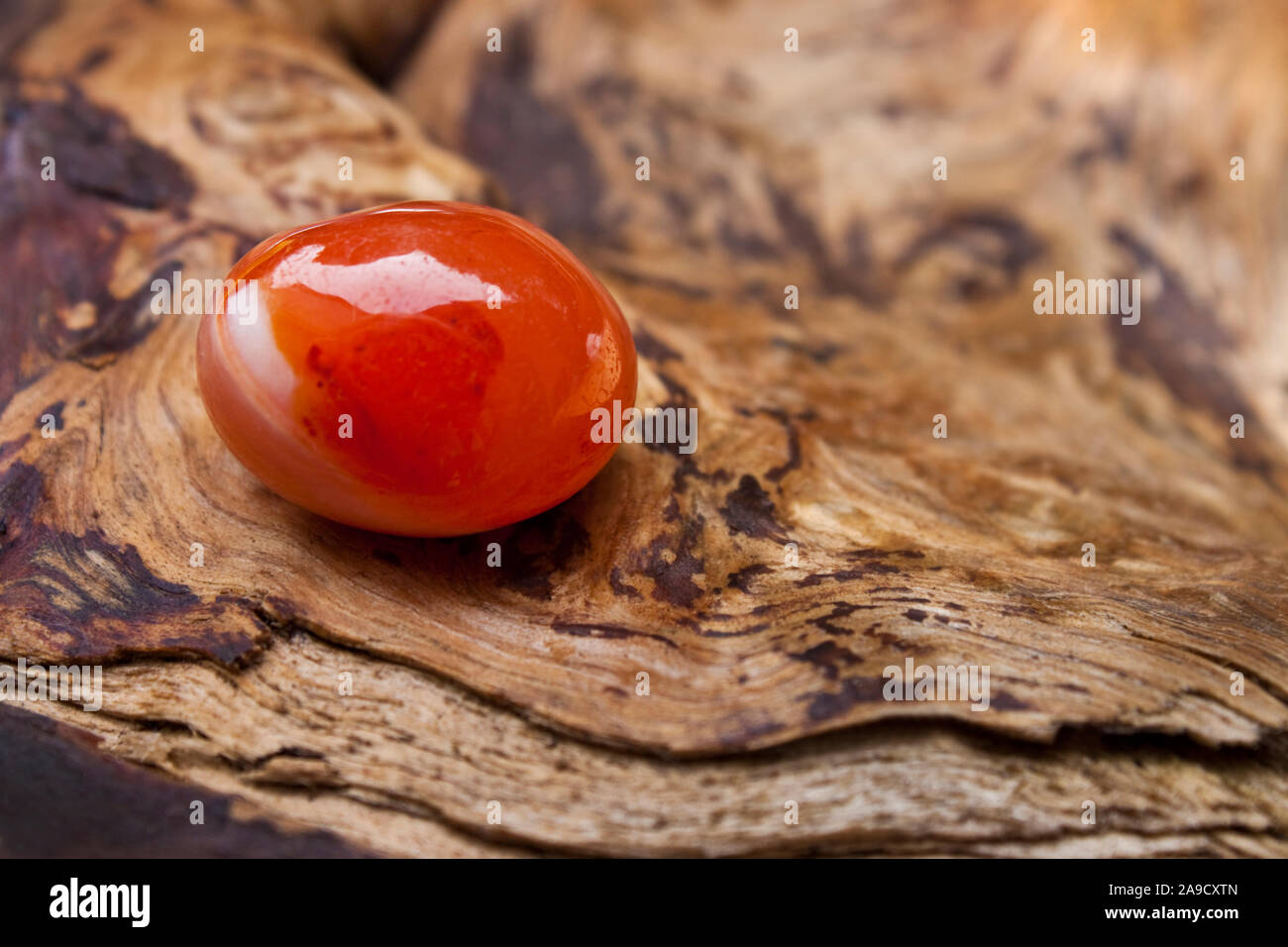 Red carnelian hi-res stock photography and images - Alamy