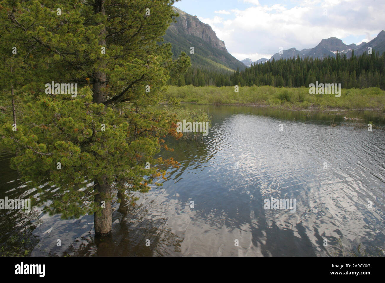 Hyalite Reservoir and Gallatin Mountain Range scenic Gallantin National ...