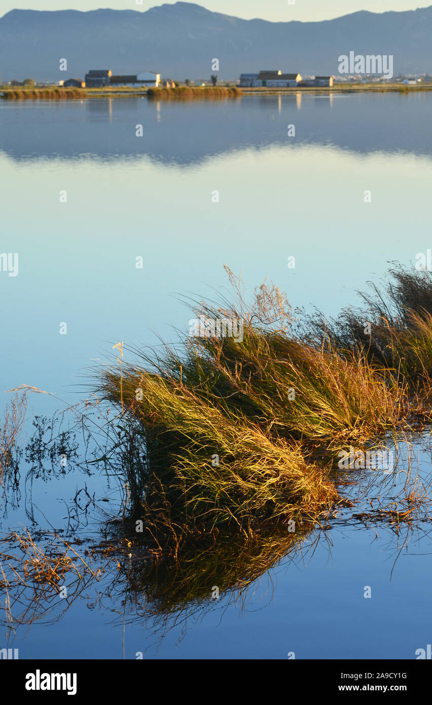 The Albufera natural park, a wetland of international importance in ...
