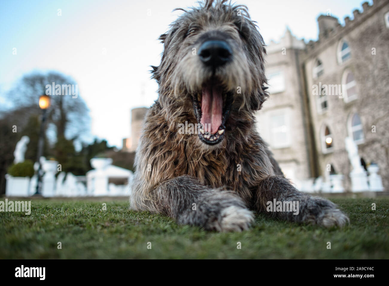 Cabra castle hi-res stock photography and images - Alamy