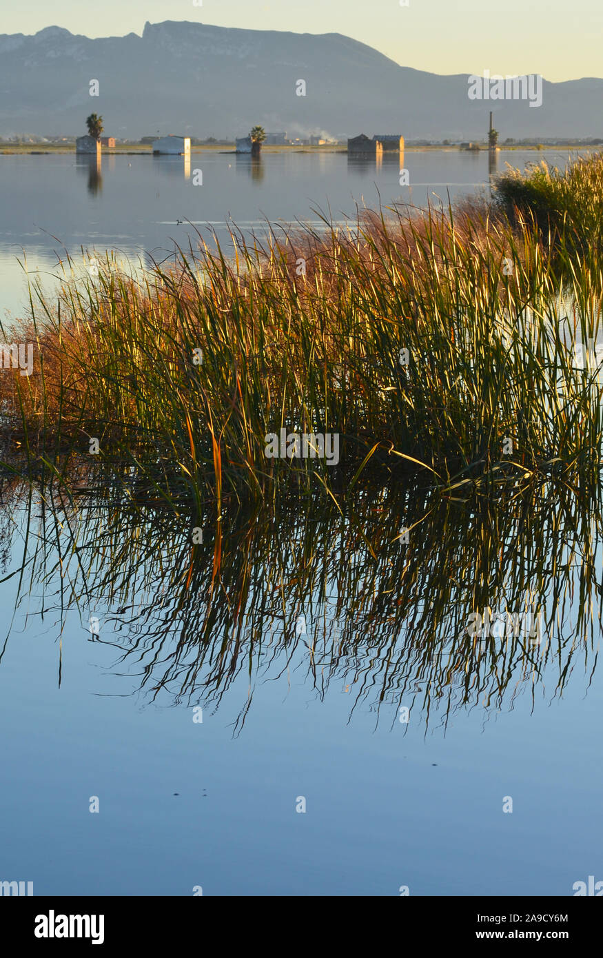 The Albufera natural park, a wetland of international importance in ...