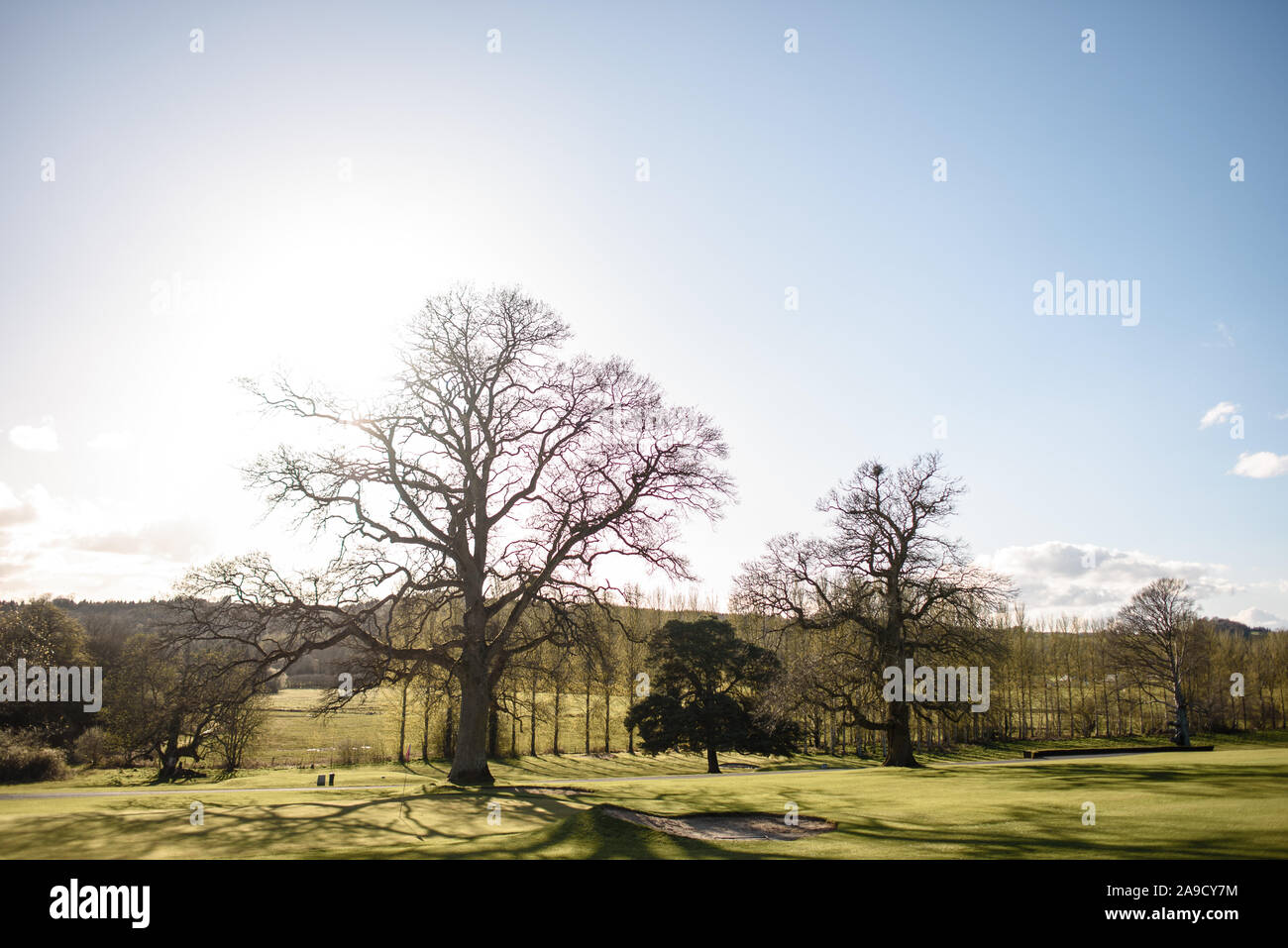 Cabra Castle in Ireland Stock Photo - Alamy