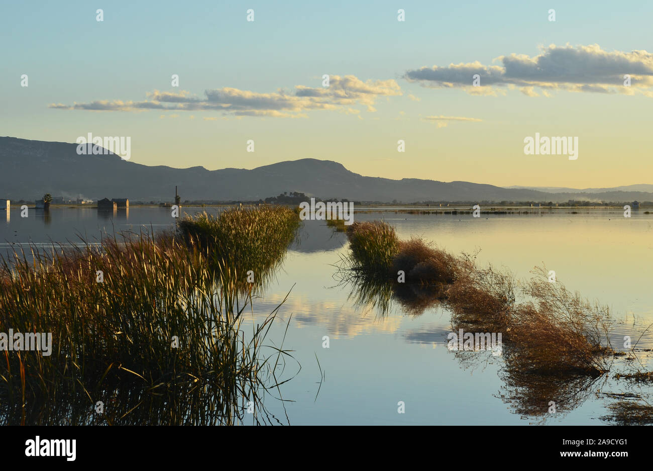 The Albufera natural park, a wetland of international importance in ...