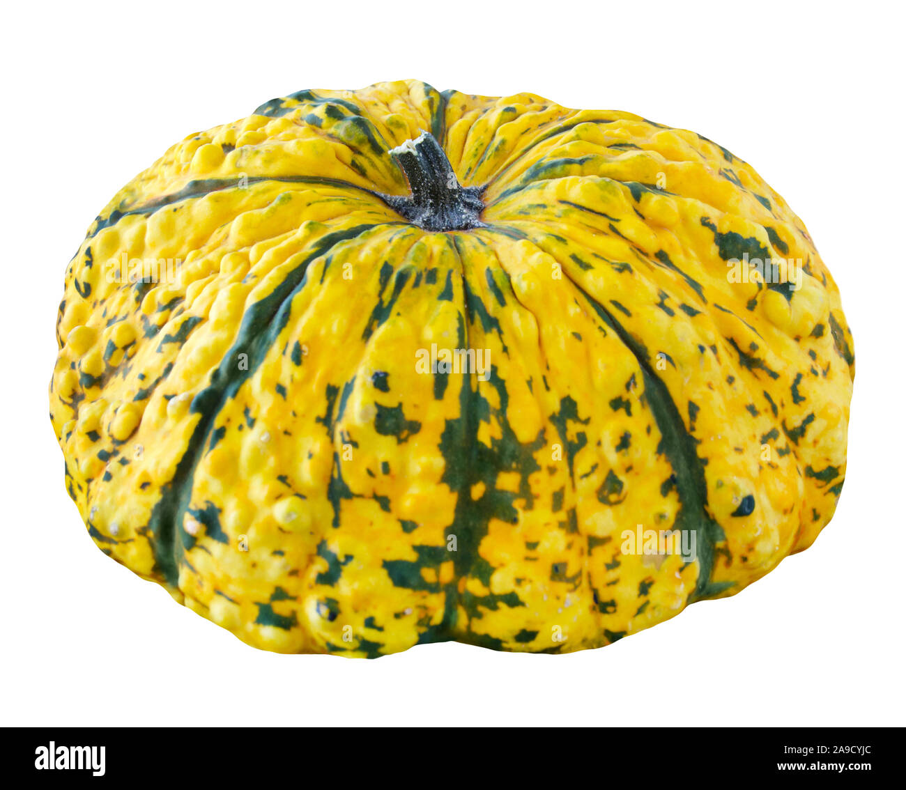 Patisson pumpkin against white background Stock Photo - Alamy