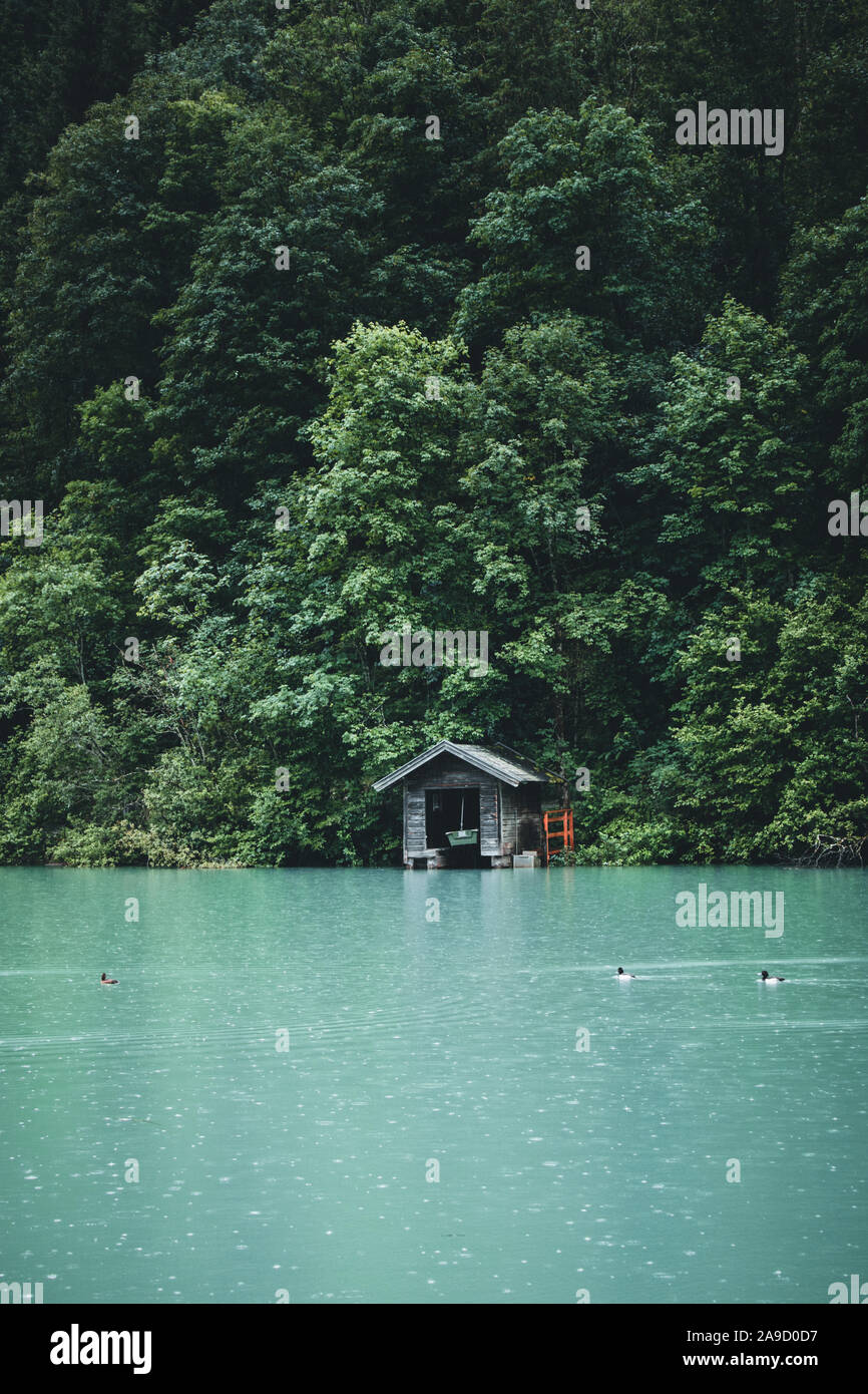 Kate woods hi-res stock photography and images - Alamy