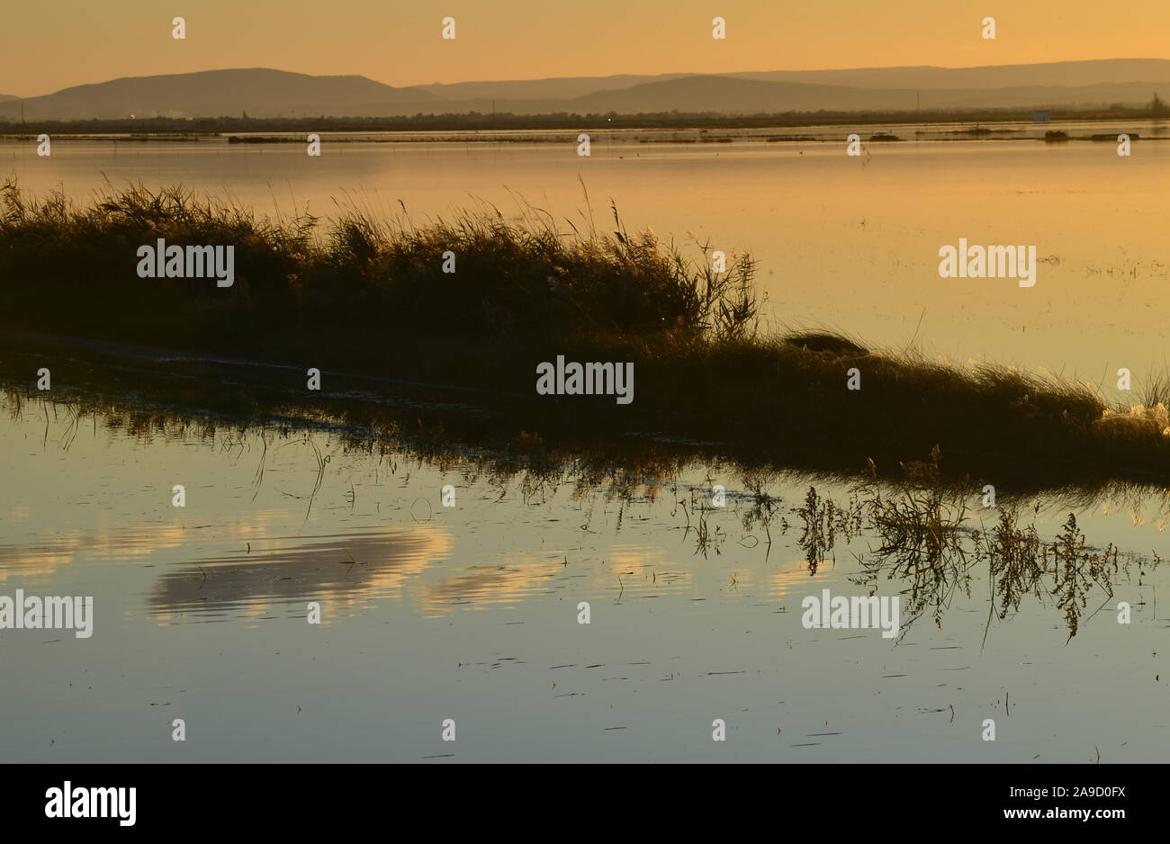 The Albufera natural park, a wetland of international importance in ...