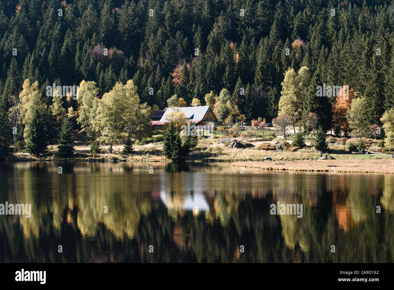 Bavarian state forests hi-res stock photography and images - Alamy