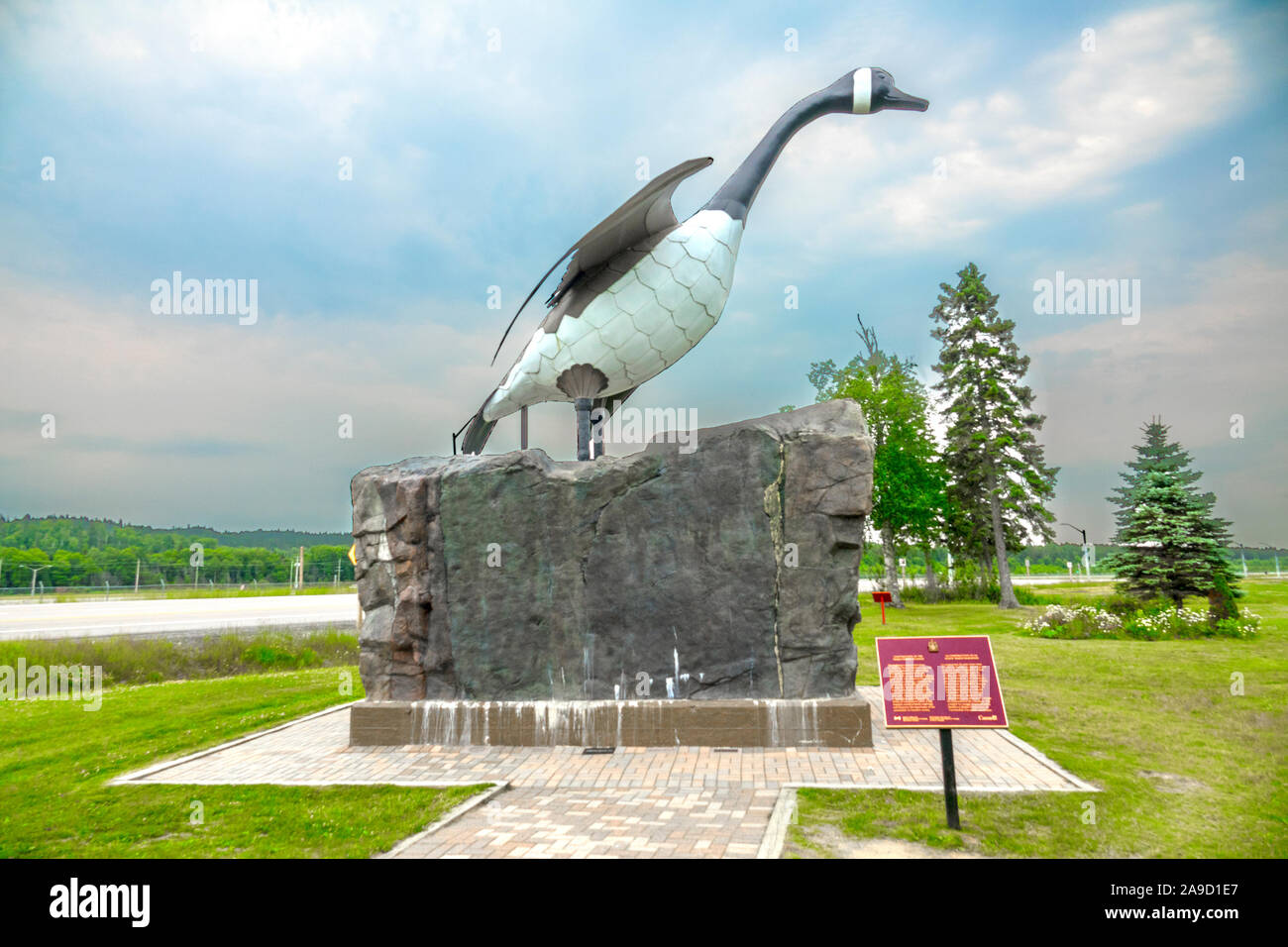 The famous wawa goose wawa hi-res stock photography and images - Alamy