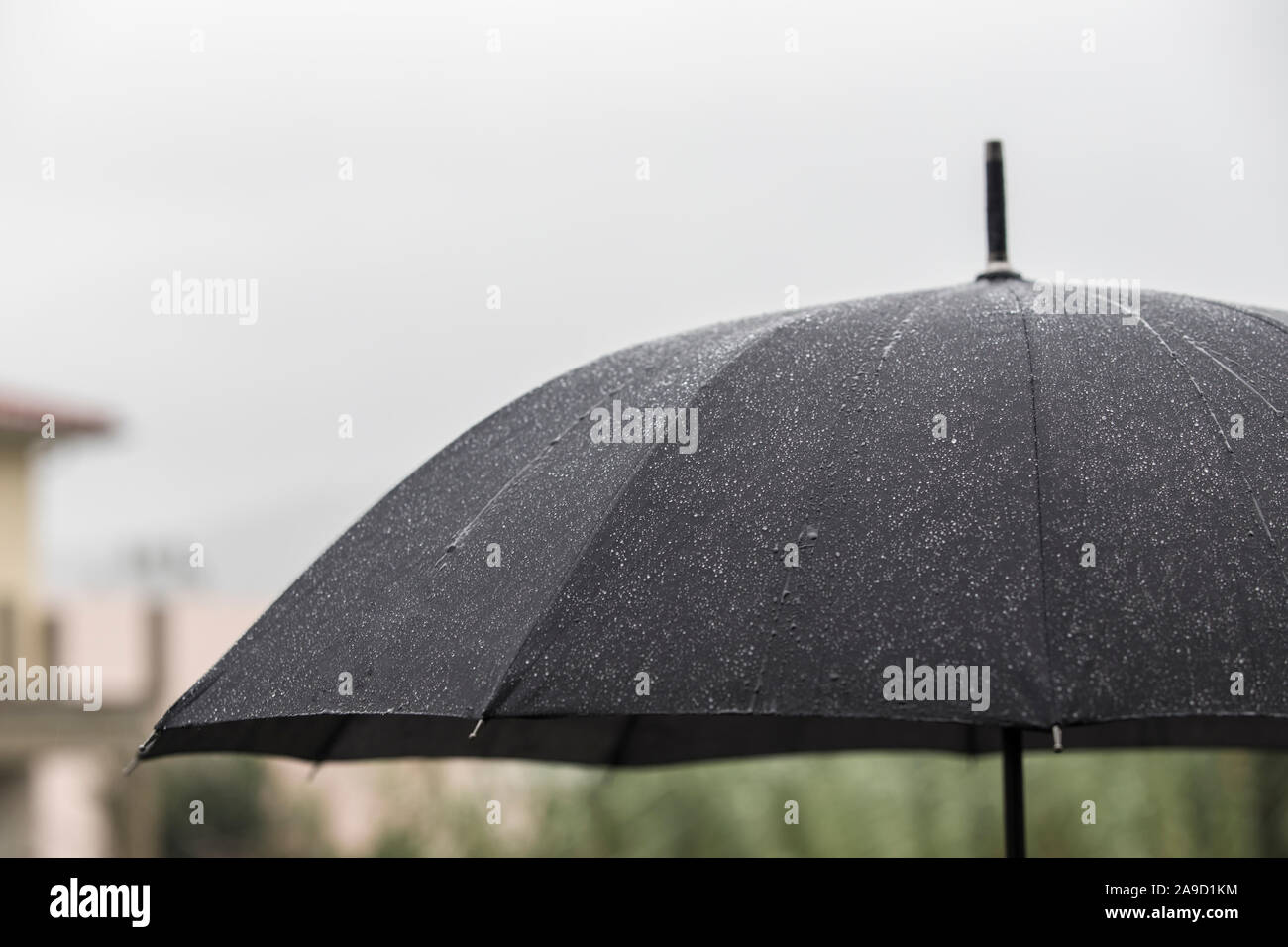 Rain And Wind On Black Umbrella - Weather Concept Stock Photo - Alamy